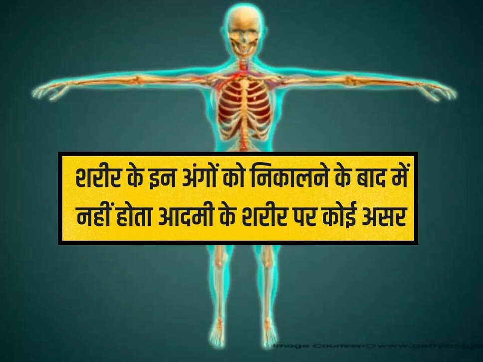 Human Body: शरीर के इन अंगों को निकालने के बाद में नहीं होता आदमी के ...